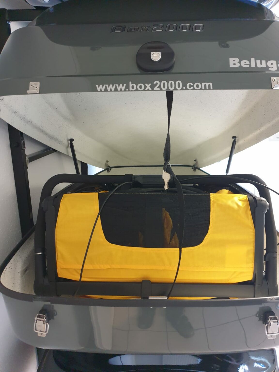 BELUGA XXL - Urlaub mit Hund